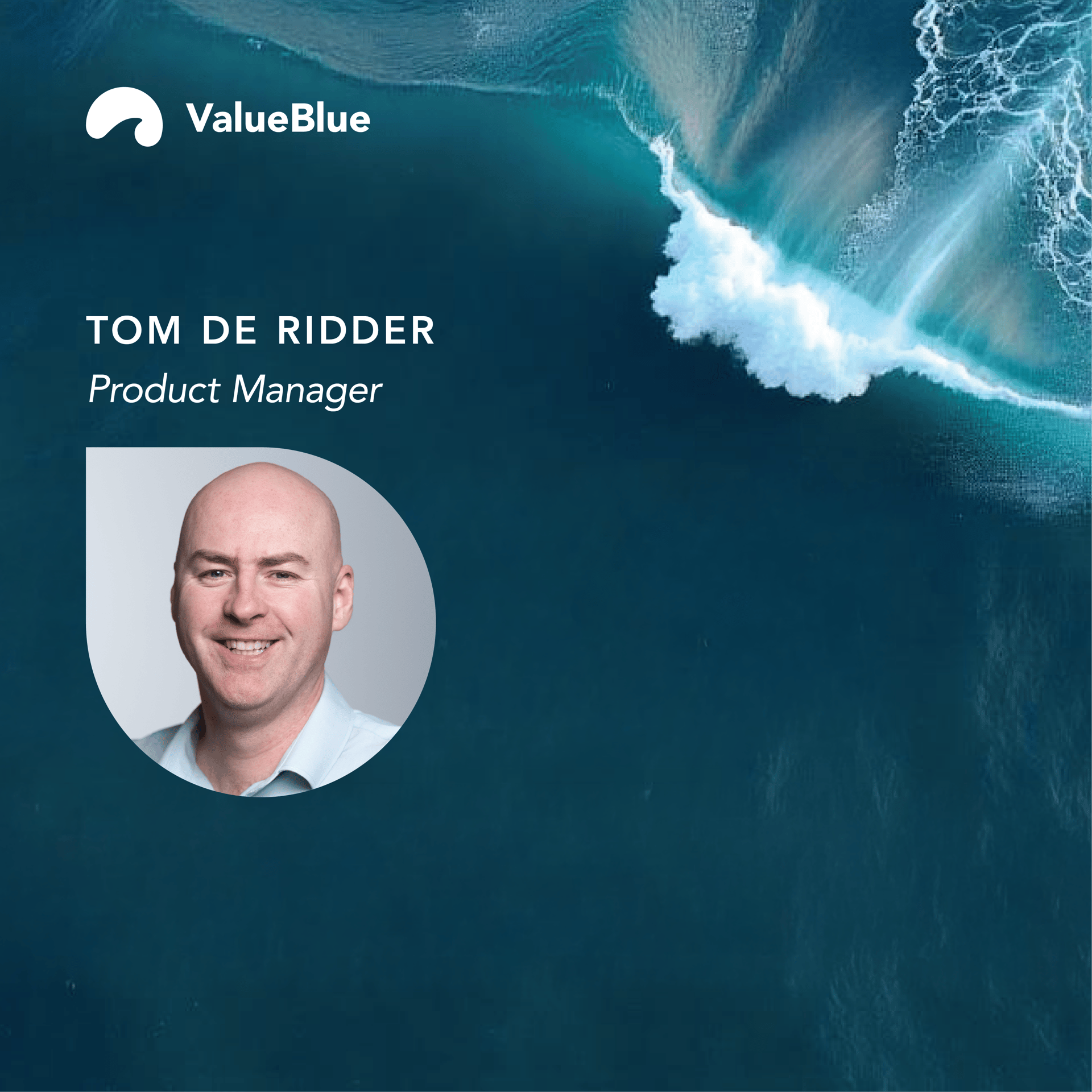BlueDolphin Waves: Product & Roadmap Updates January 2026